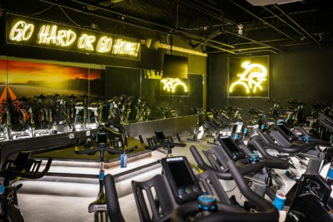 Yorktown - Level Fitness Clubs